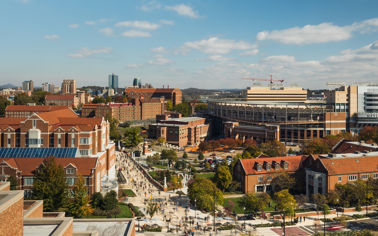 Professional and Continuing Education Programs | UT CPELL